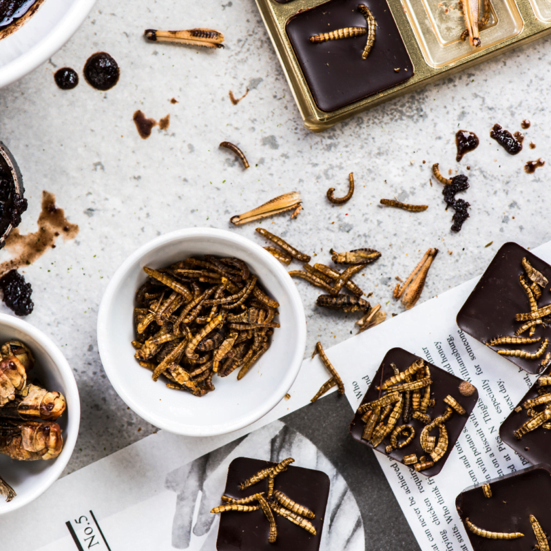 Insekter i mat ska märkas tydligt - Astma- och Allergiförbundet